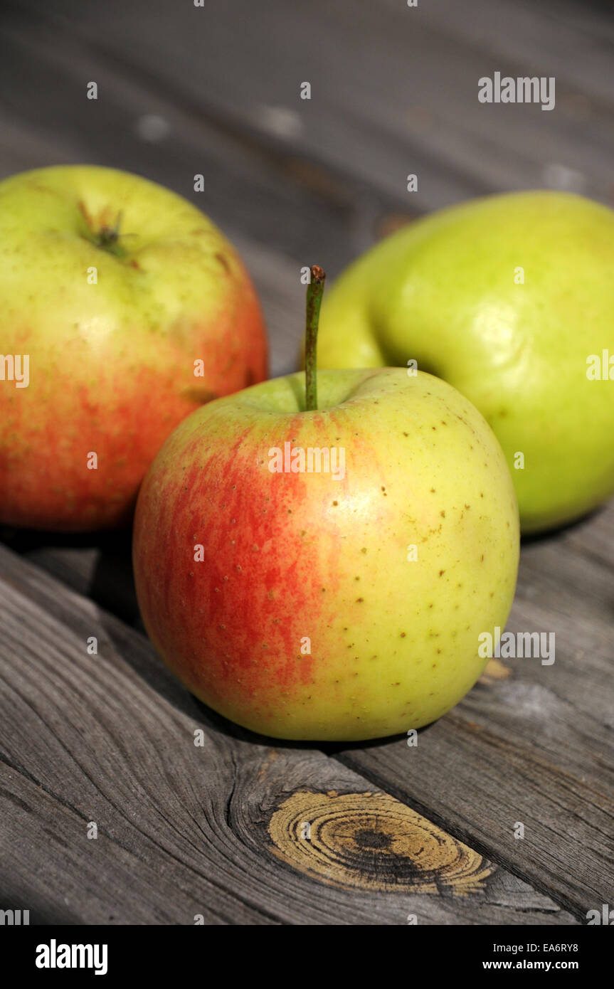 Delbarestivale hi-res stock photography and images - Alamy