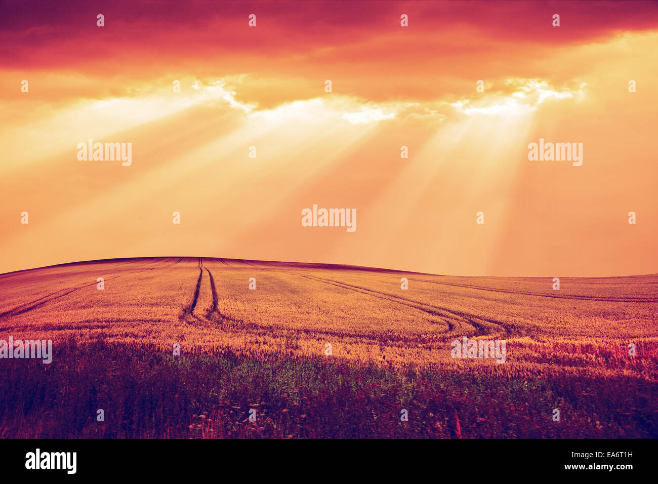 Rural landscape of field and clouds. Vintage retro style Stock Photo ...