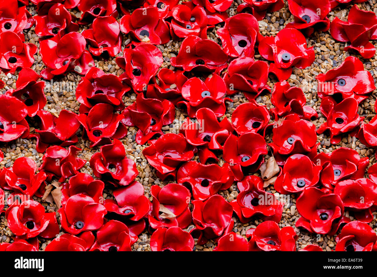 Poppies fallen hi-res stock photography and images - Alamy