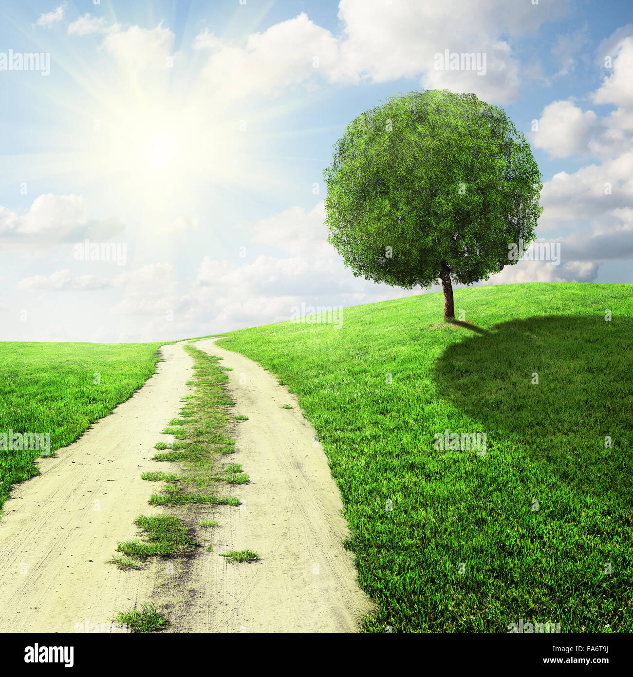 Road in field Stock Photo - Alamy