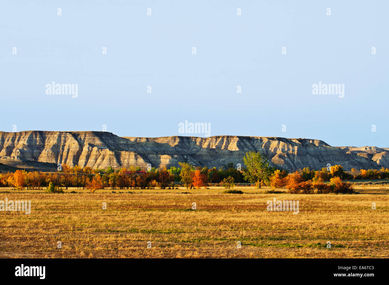 Elkhorn ranch hi-res stock photography and images - Alamy
