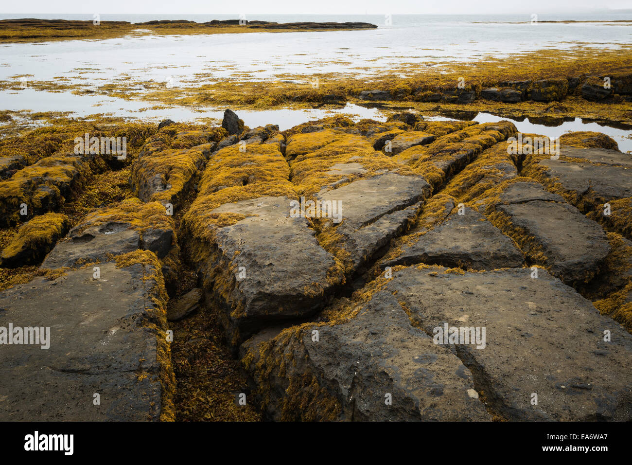 Shoreline at Breakish, Isle of Skye, Inner Hebrides, Scotland Stock ...