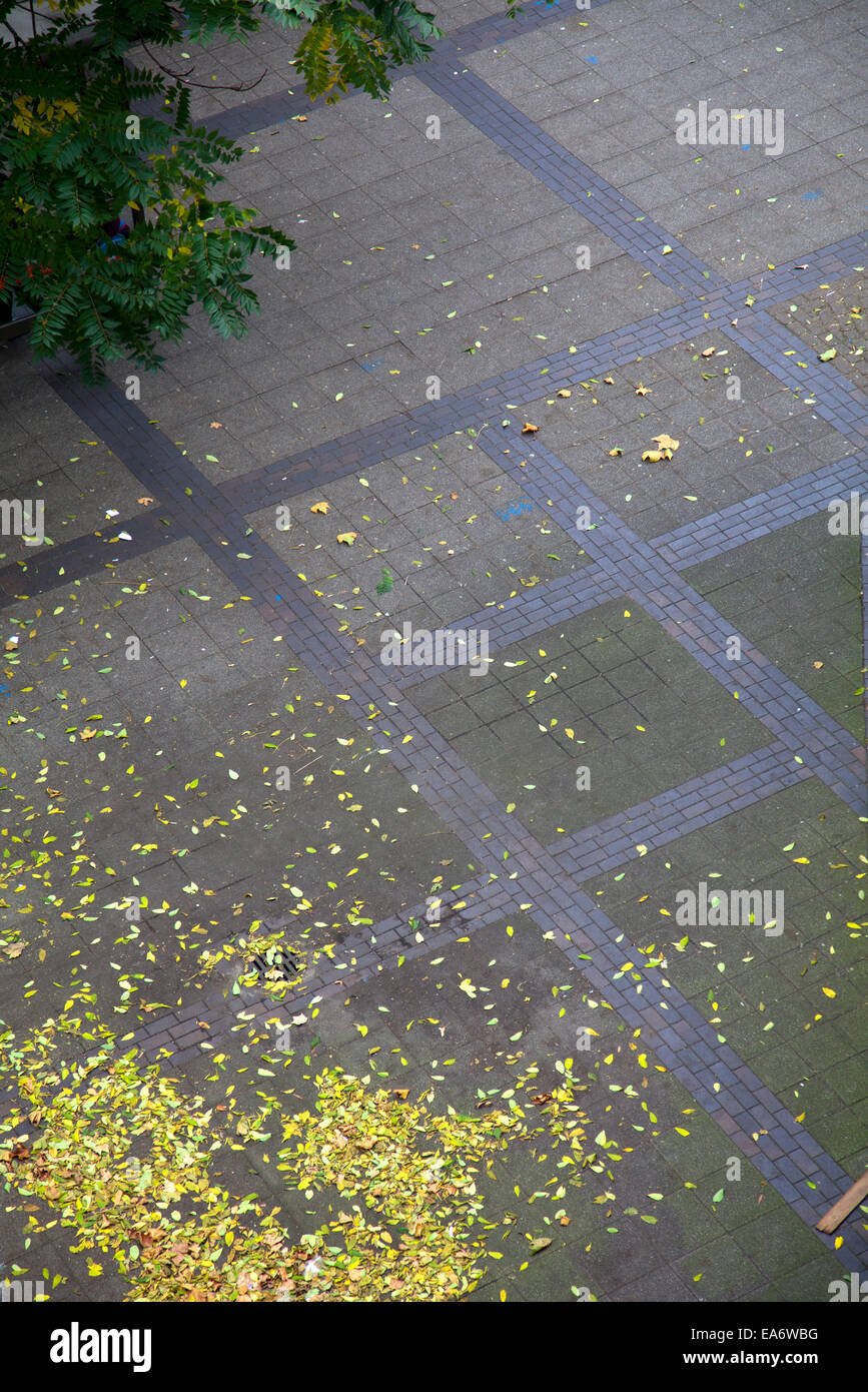Leaves on London Pavement - UK Stock Photo - Alamy