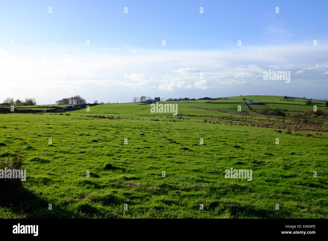 View of the Ribble Valley in Lancashire UK. With blue skies and rolling ...