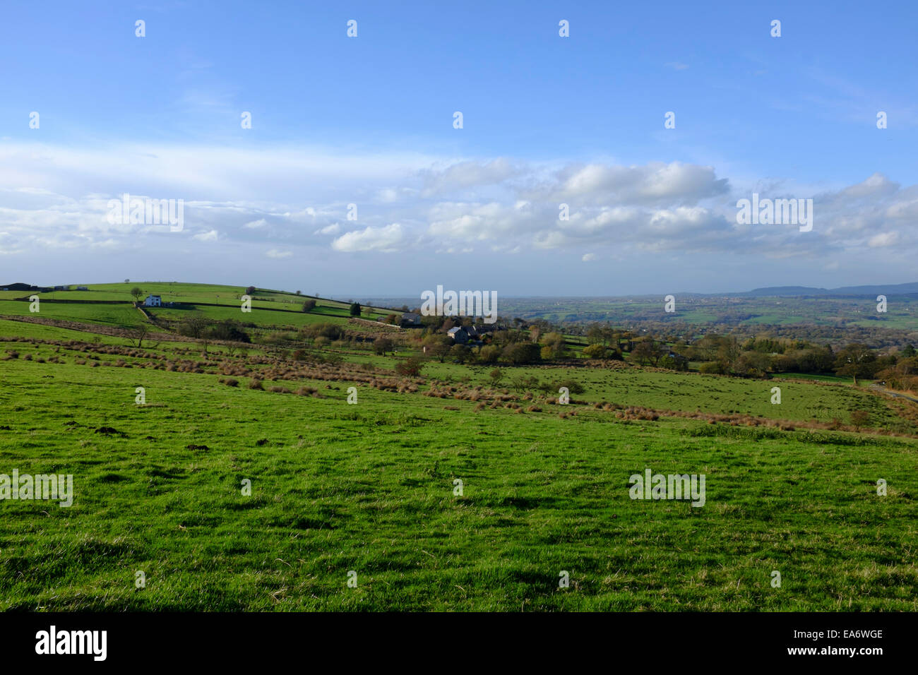 View of the Ribble Valley in Lancashire UK. With blue skies and rolling ...
