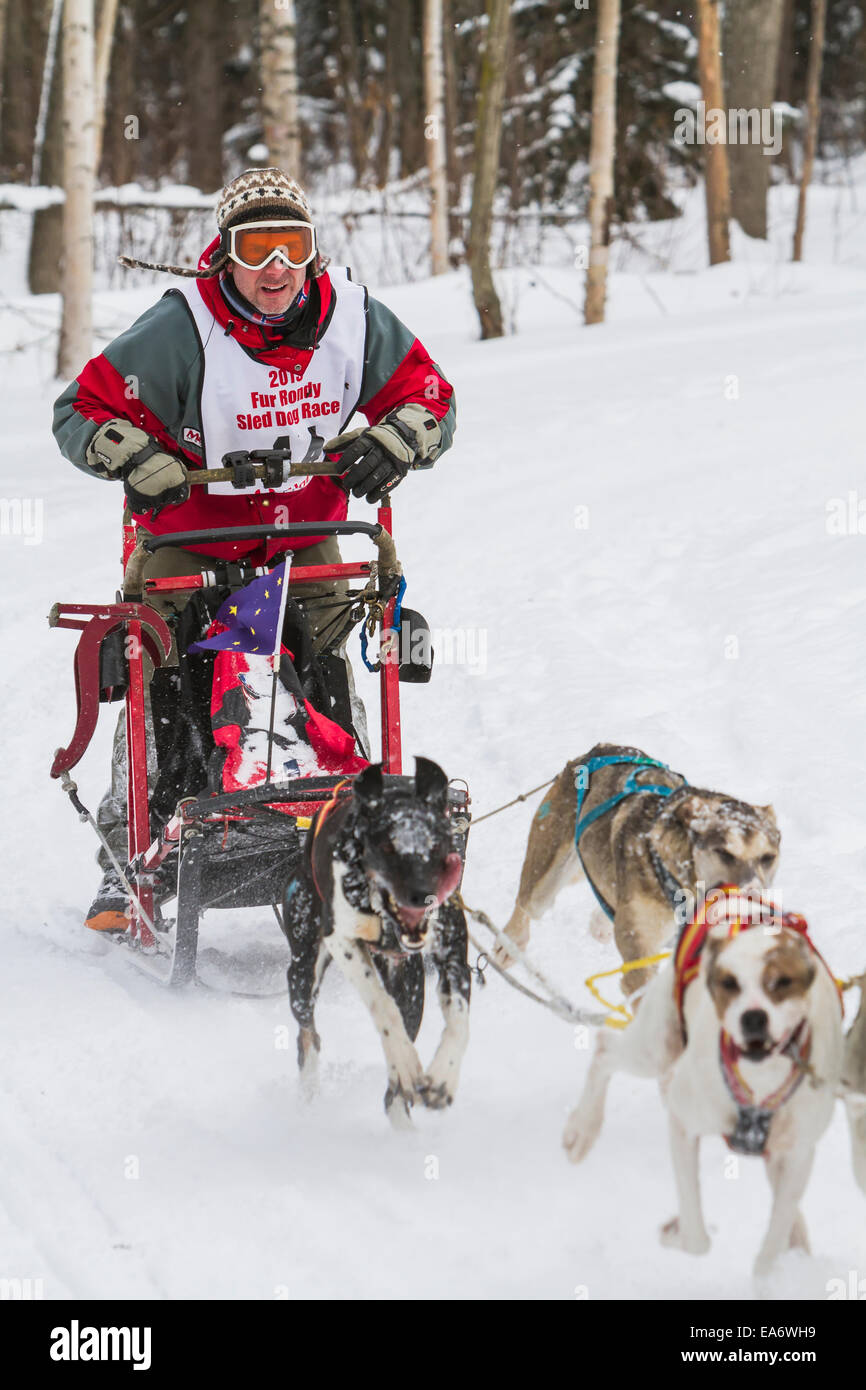 Fur rendezvous world sled dog championships hi-res stock photography ...