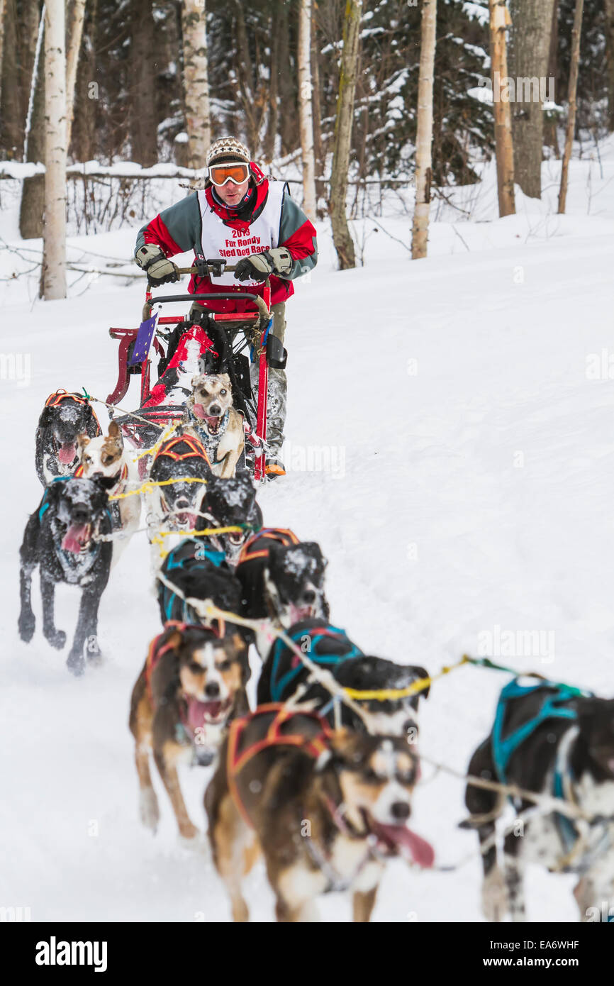 Fur rendezvous world sled dog championship hi-res stock photography and ...