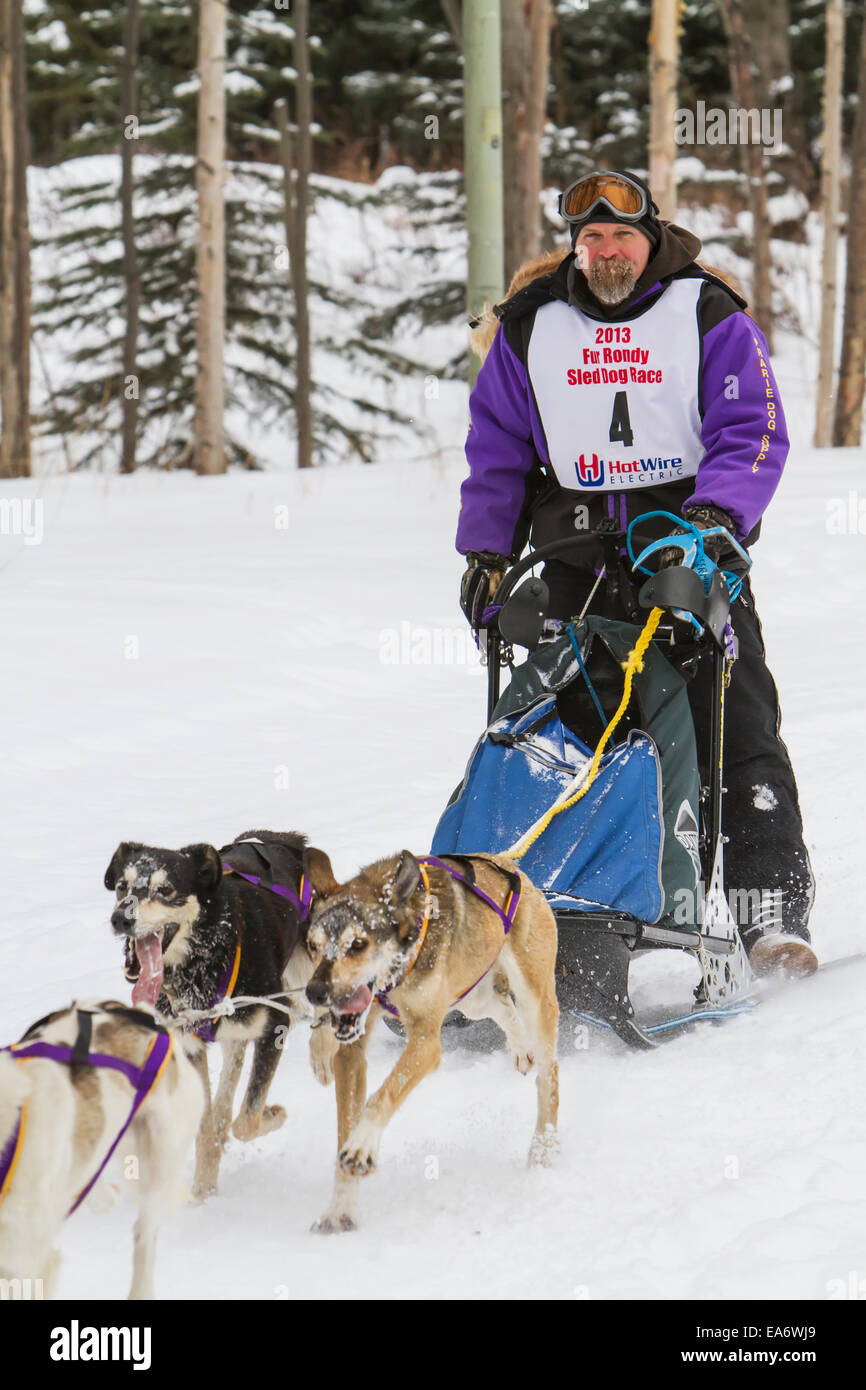 World sled dog championship race hi-res stock photography and images ...