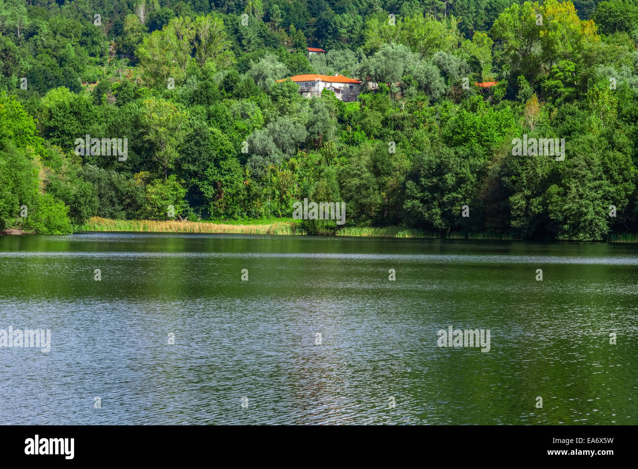 Traditional stone house of the Pontido Hamlet peeking through the ...