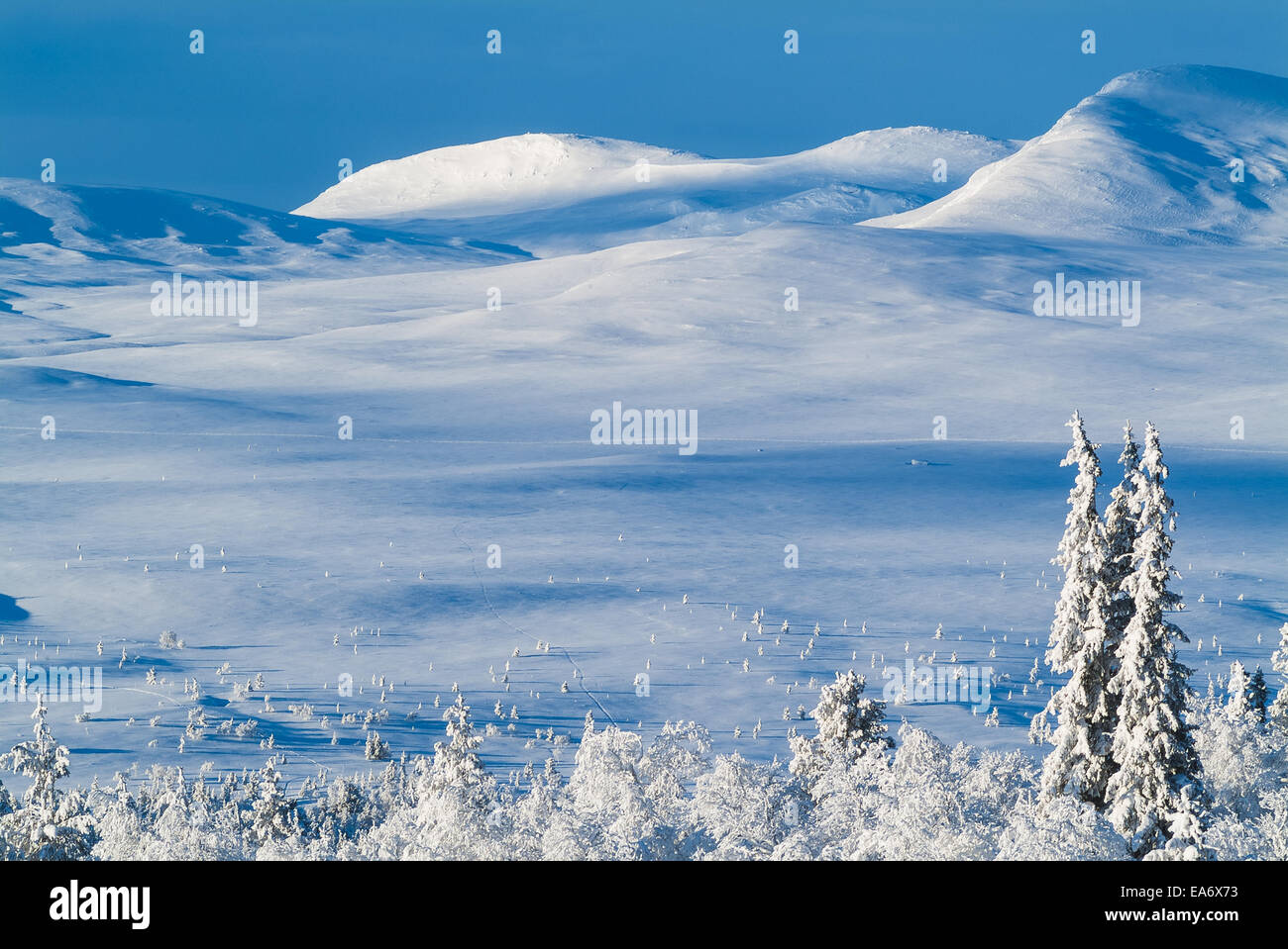 Trees and mountains in snowscape Stock Photo - Alamy