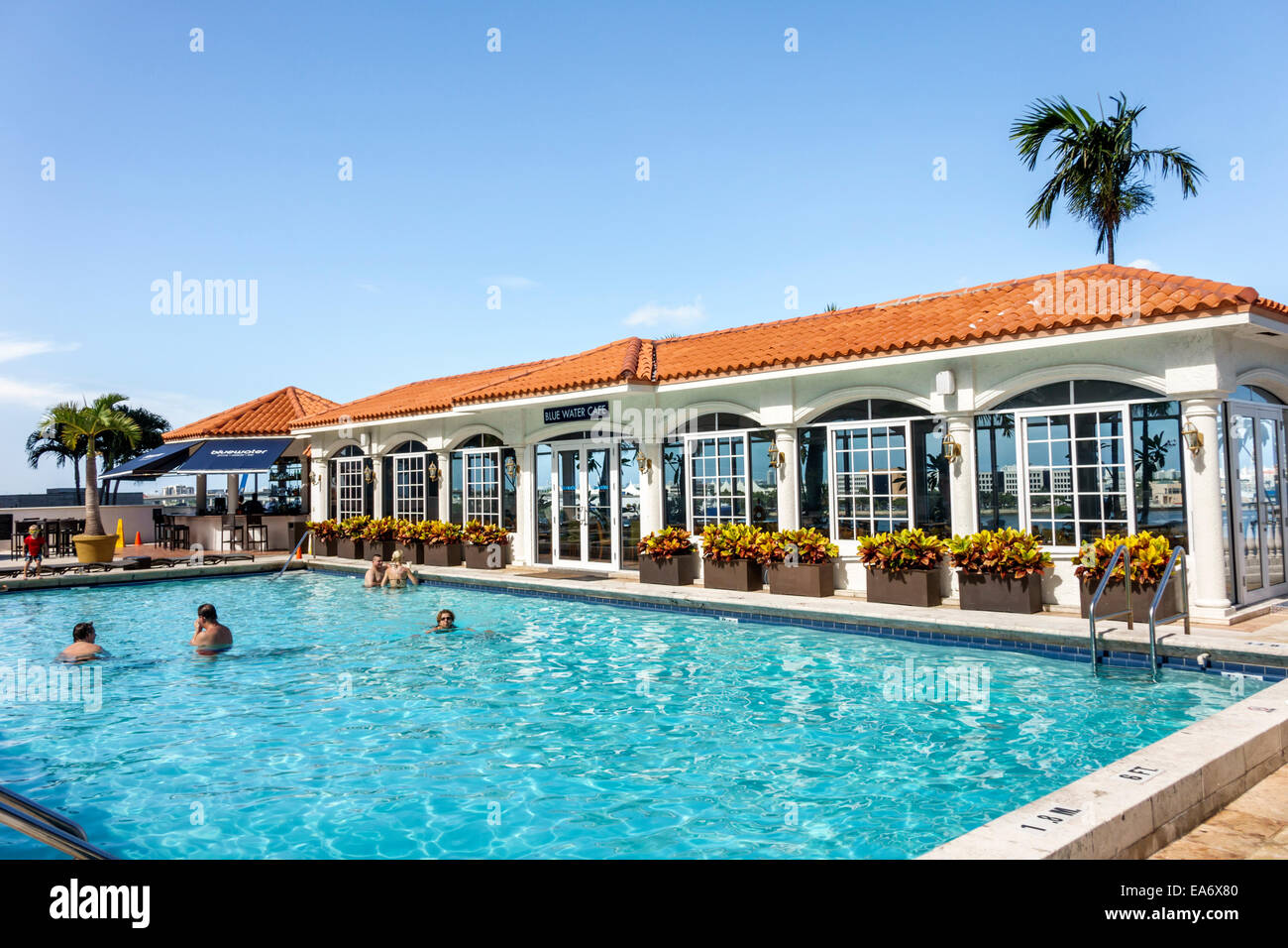 Miami Florida,Intercontinental,hotel,swimming pool area,Blue Water Cafe ...