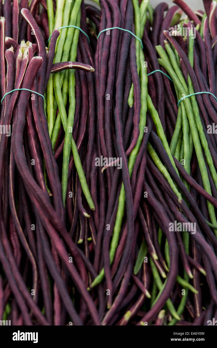 Vigna unguiculata subso sesquipedalis hi-res stock photography and ...