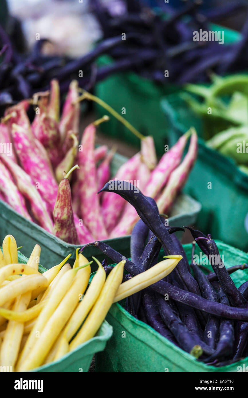 Dragons tongue beans hi-res stock photography and images - Alamy