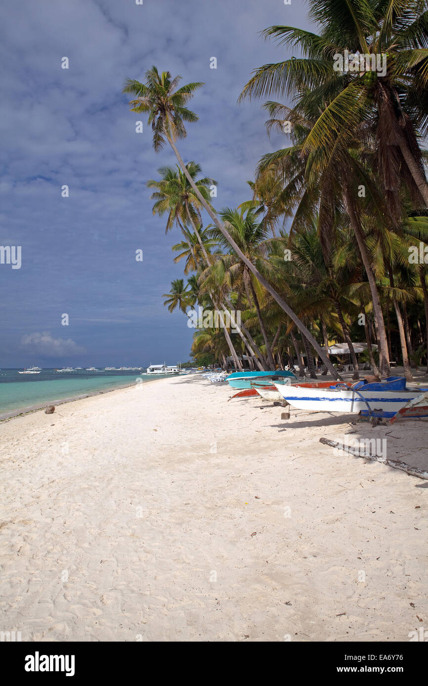 A long stretch of white sand beach is lined with tall coconut trees and ...