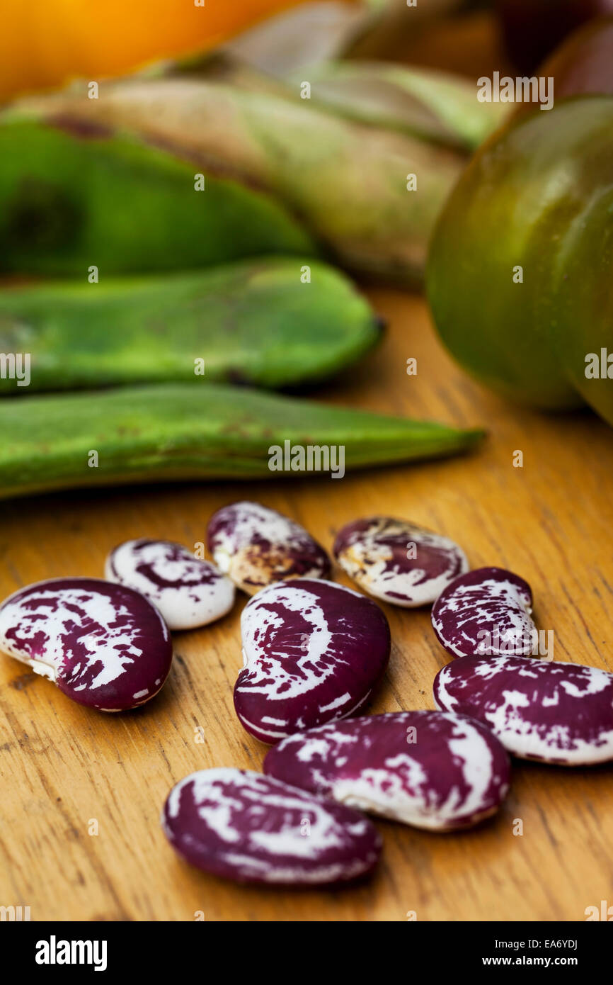 Chestnut lima bean hi-res stock photography and images - Alamy