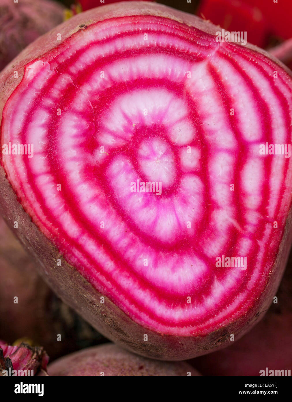 Candy stripes hi-res stock photography and images - Alamy