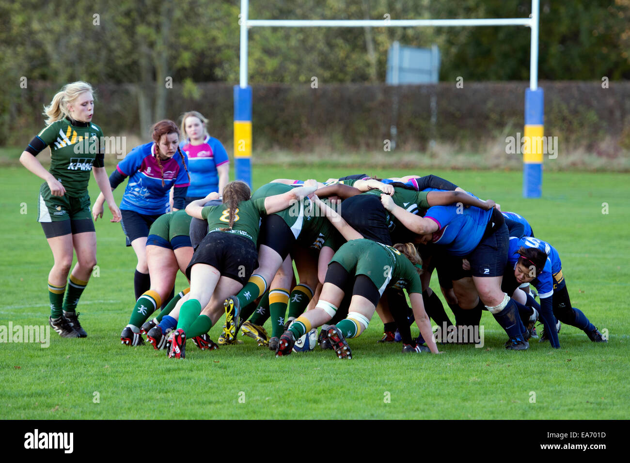 Womens rugby scrum hi-res stock photography and images - Alamy