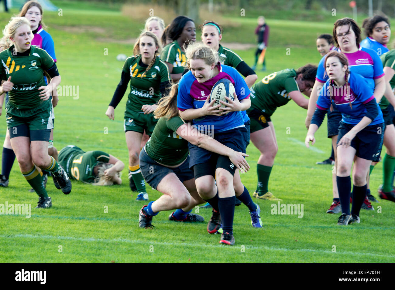 University sport, women`s Rugby Union, UK. A player tackling Stock ...