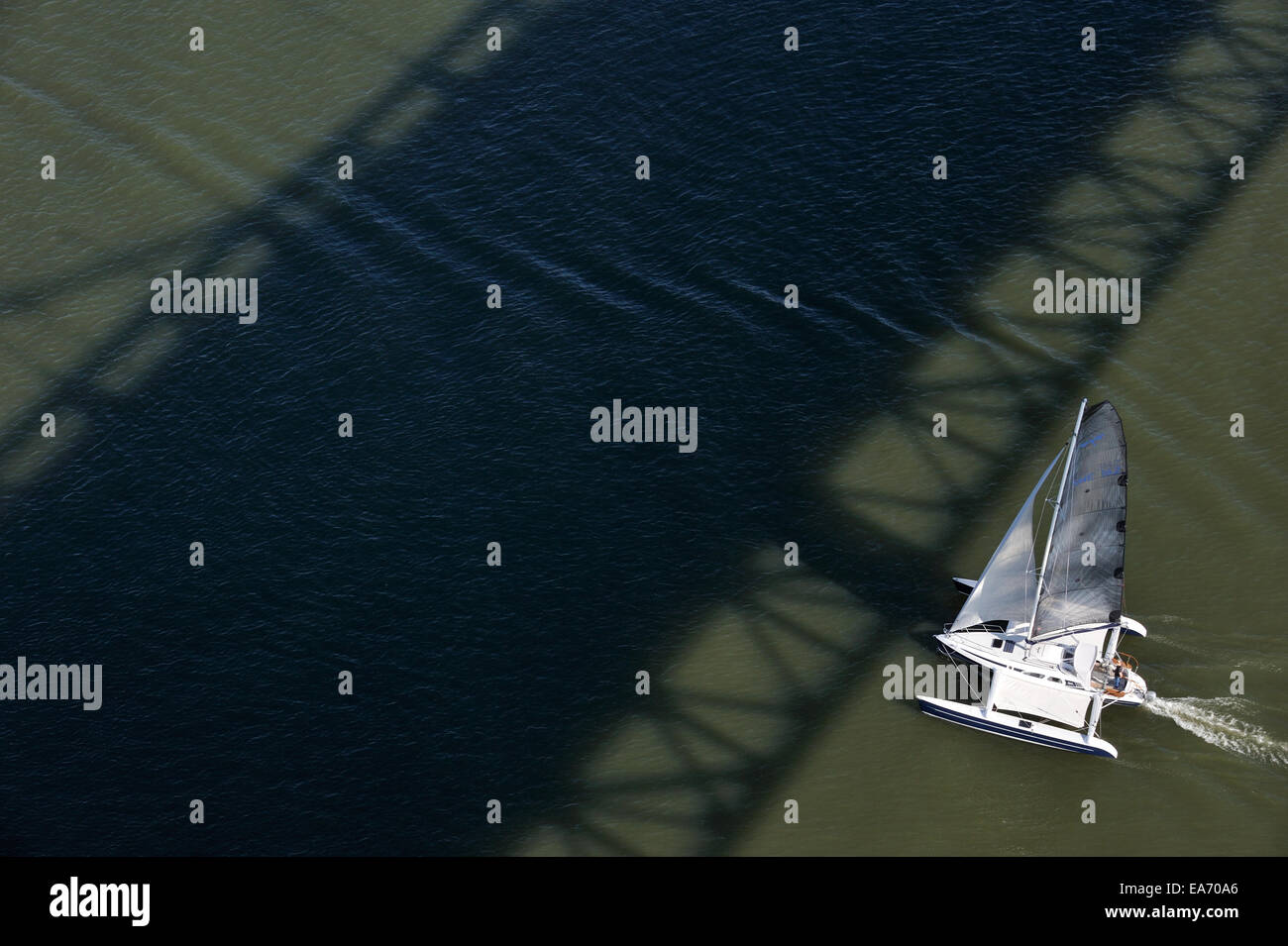 Catamaran sailing over shadows on water, Sweden Stock Photo - Alamy