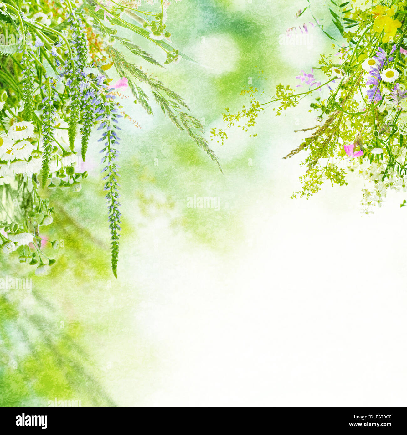 Natural floral background Stock Photo - Alamy