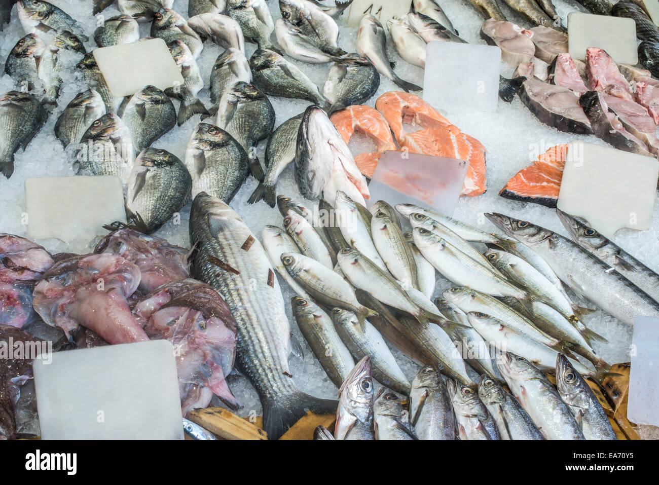Bass fish market hi-res stock photography and images - Alamy
