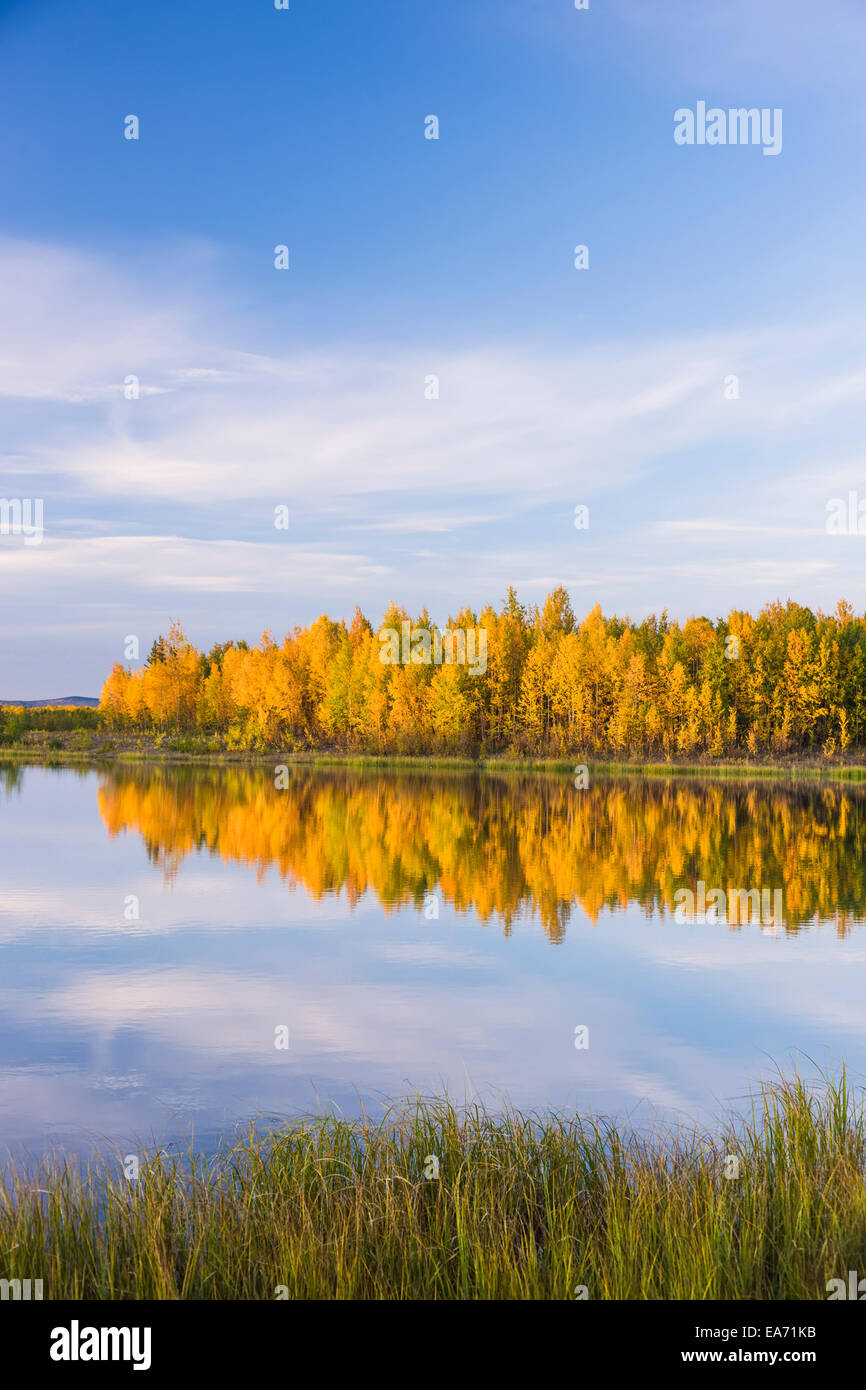 Fall Foliage Reflected In The Water At The Chena Lakes Recreation Area ...