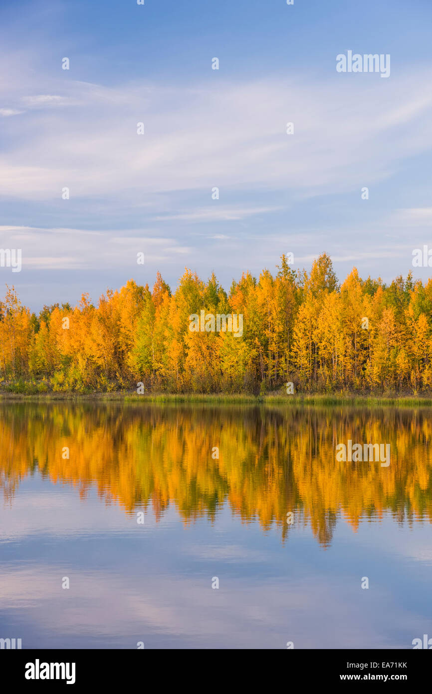 Fall Foliage Reflected In The Water At The Chena Lakes Recreation Area, Fairbanks, Alaska, Usa ...