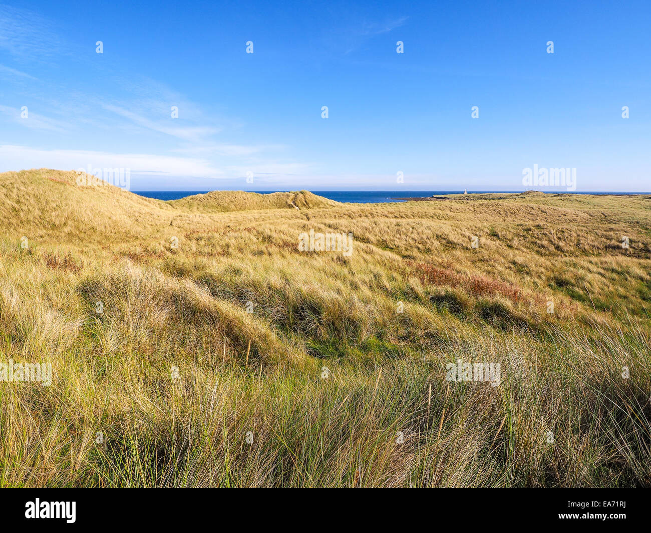 a gloriously wide sandy beach that seems to stretch for miles into the ...