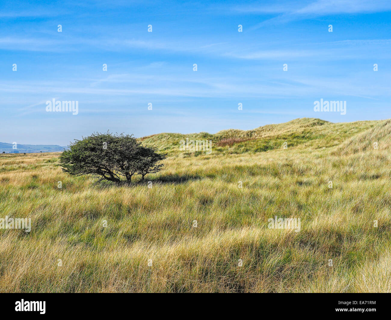 a gloriously wide sandy beach that seems to stretch for miles into the ...