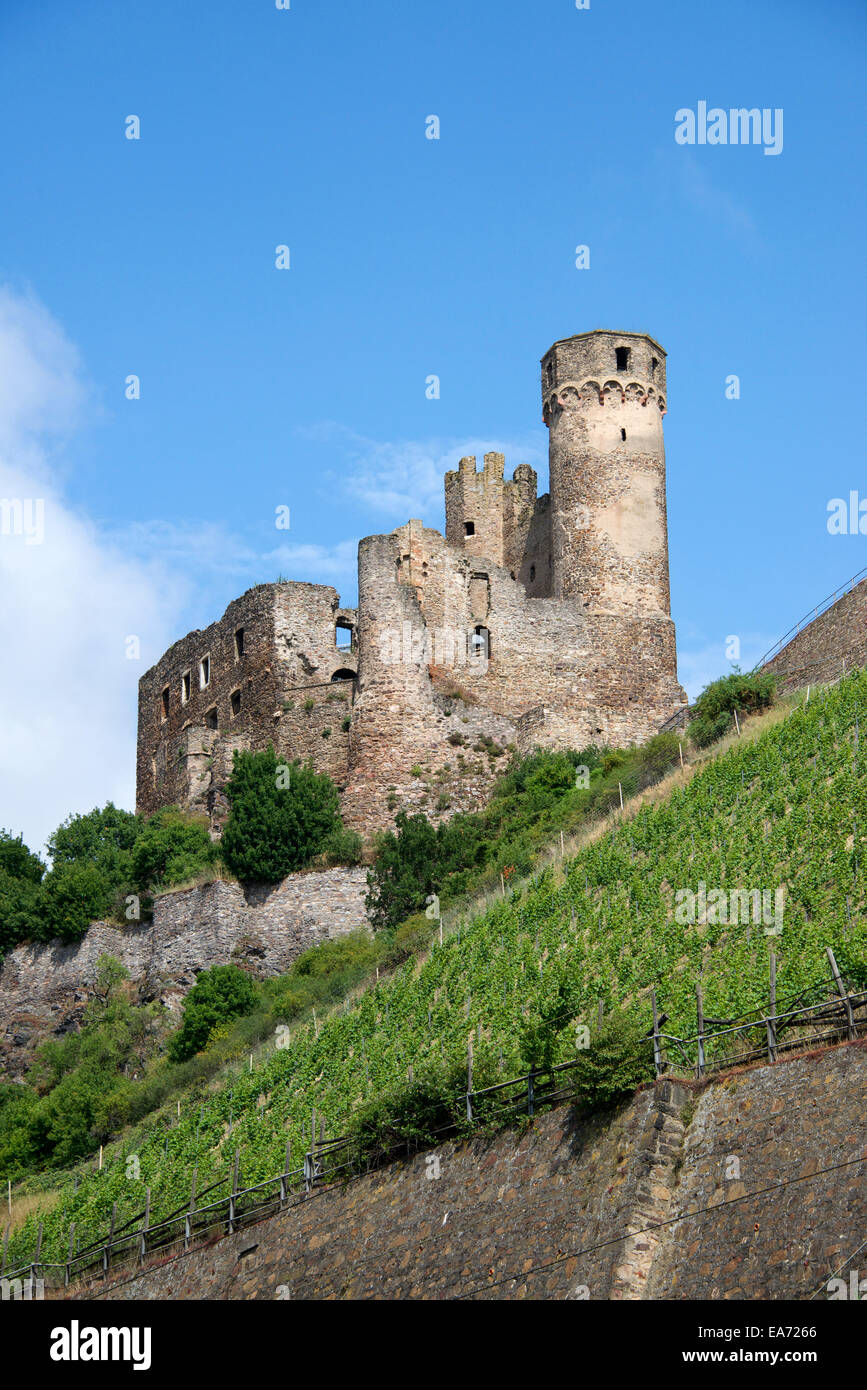 Ehrenfels Castle Rhine Gorge Rhineland-Palatinate Germany Stock Photo ...