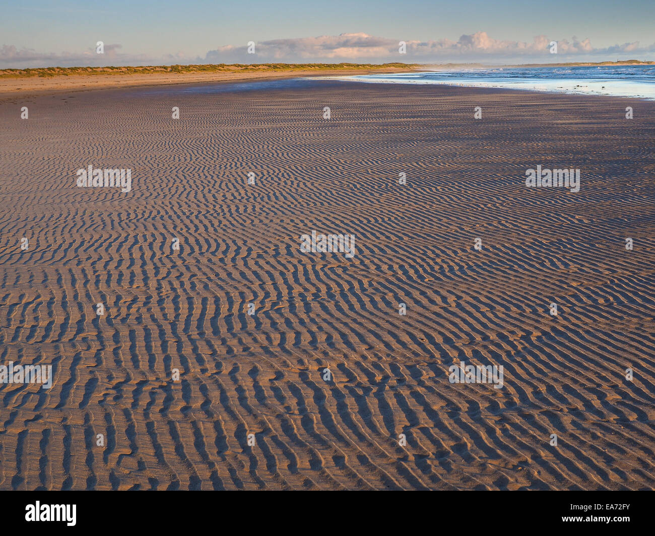 a gloriously wide sandy beach that seems to stretch for miles into the ...