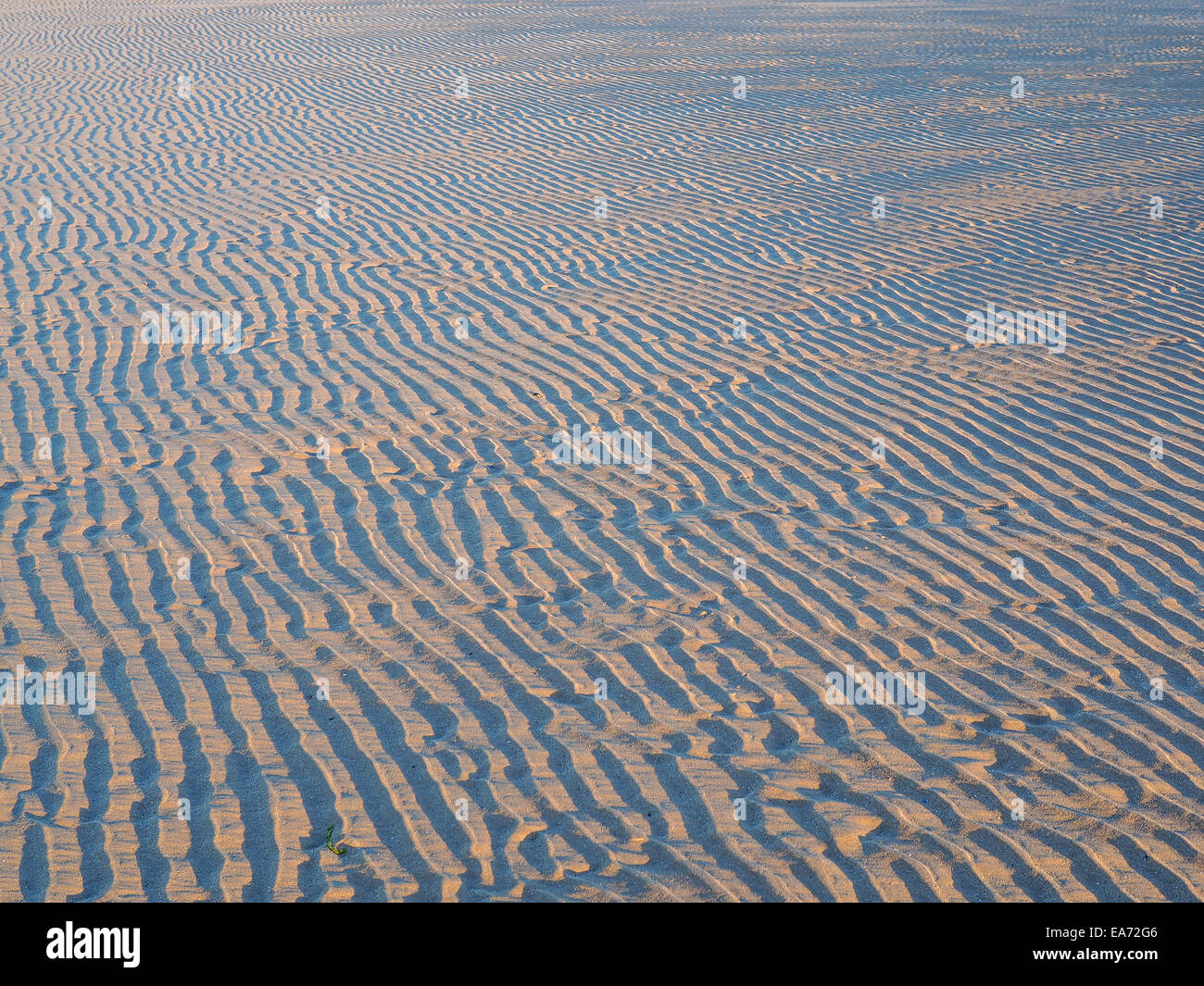 a gloriously wide sandy beach that seems to stretch for miles into the ...