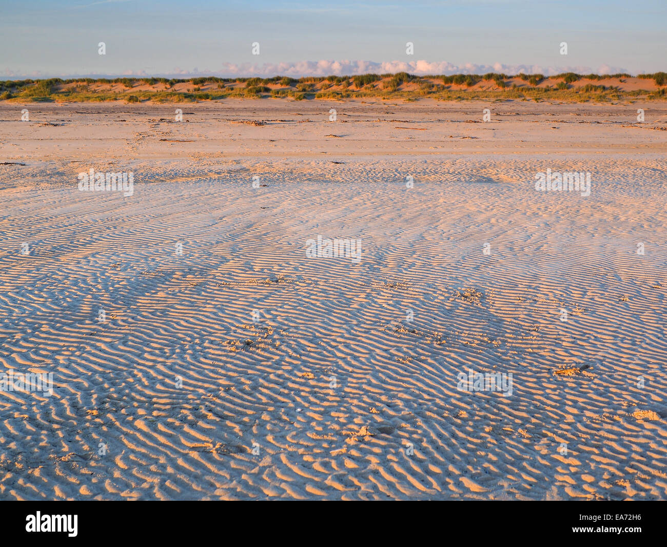 a gloriously wide sandy beach that seems to stretch for miles into the ...