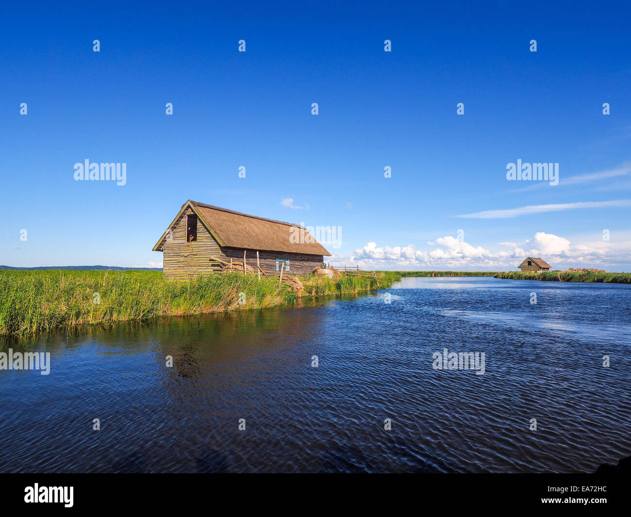 Wydrza hi-res stock photography and images - Alamy