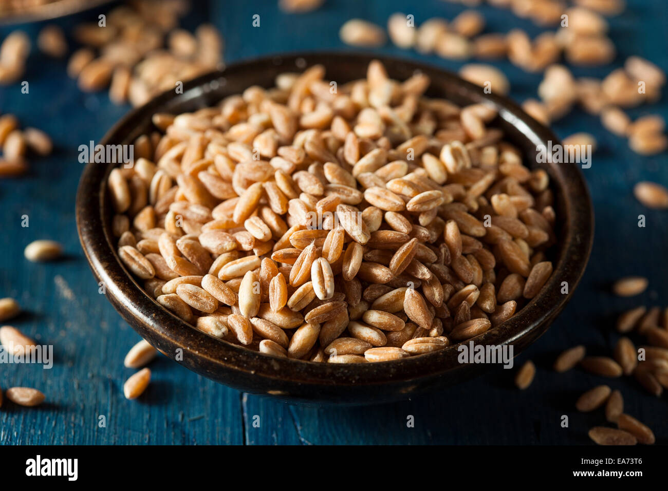 Organic Raw Farro Rice Grain in a Bowl Stock Photo - Alamy