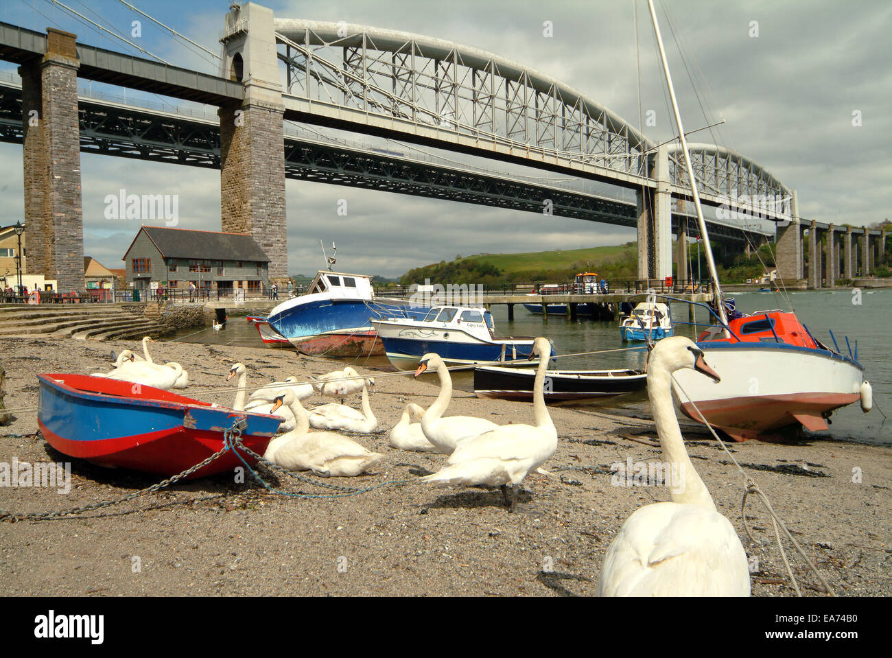 Brunel saltash hi-res stock photography and images - Alamy