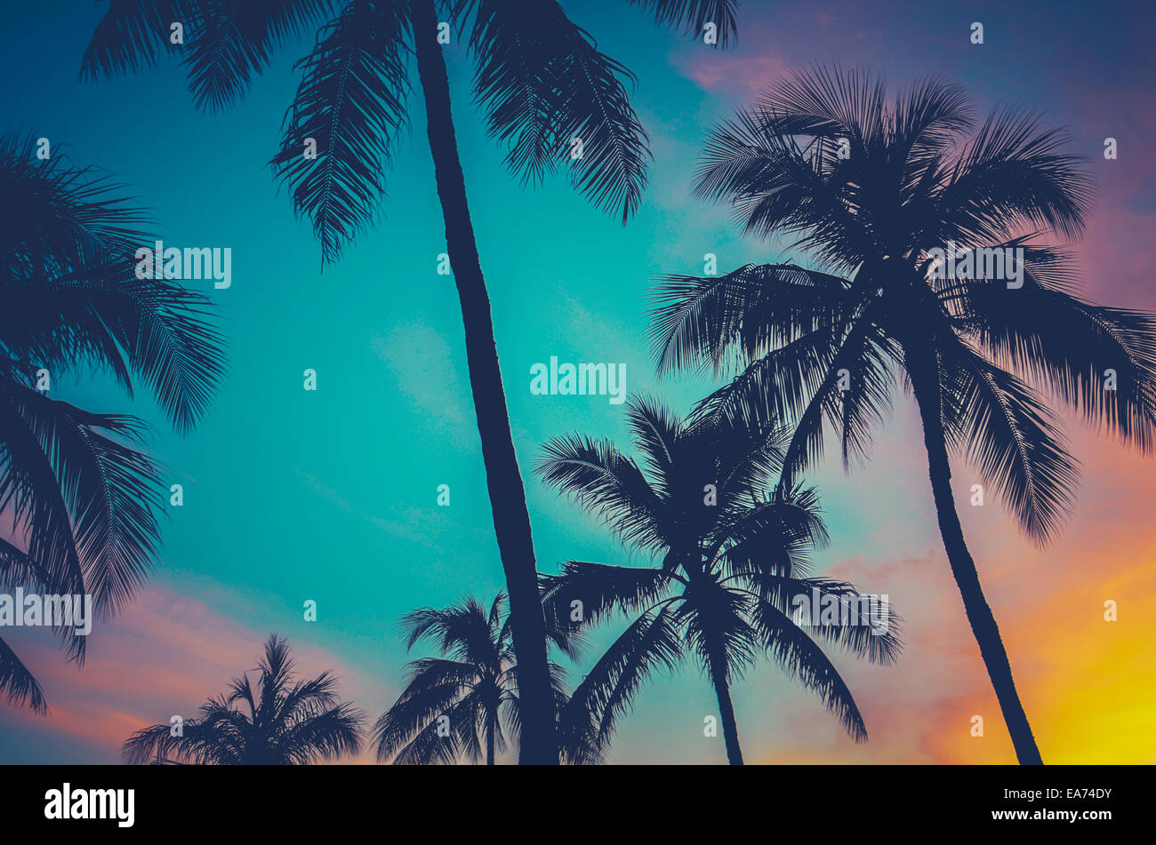 Retro Hawaii Palm Trees At Sunset Stock Photo - Alamy