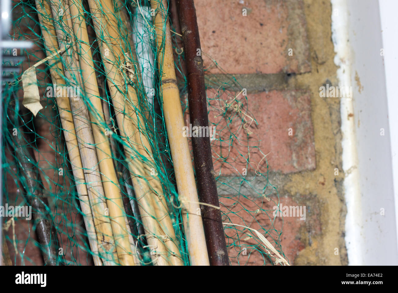 Garden netting hi-res stock photography and images - Alamy