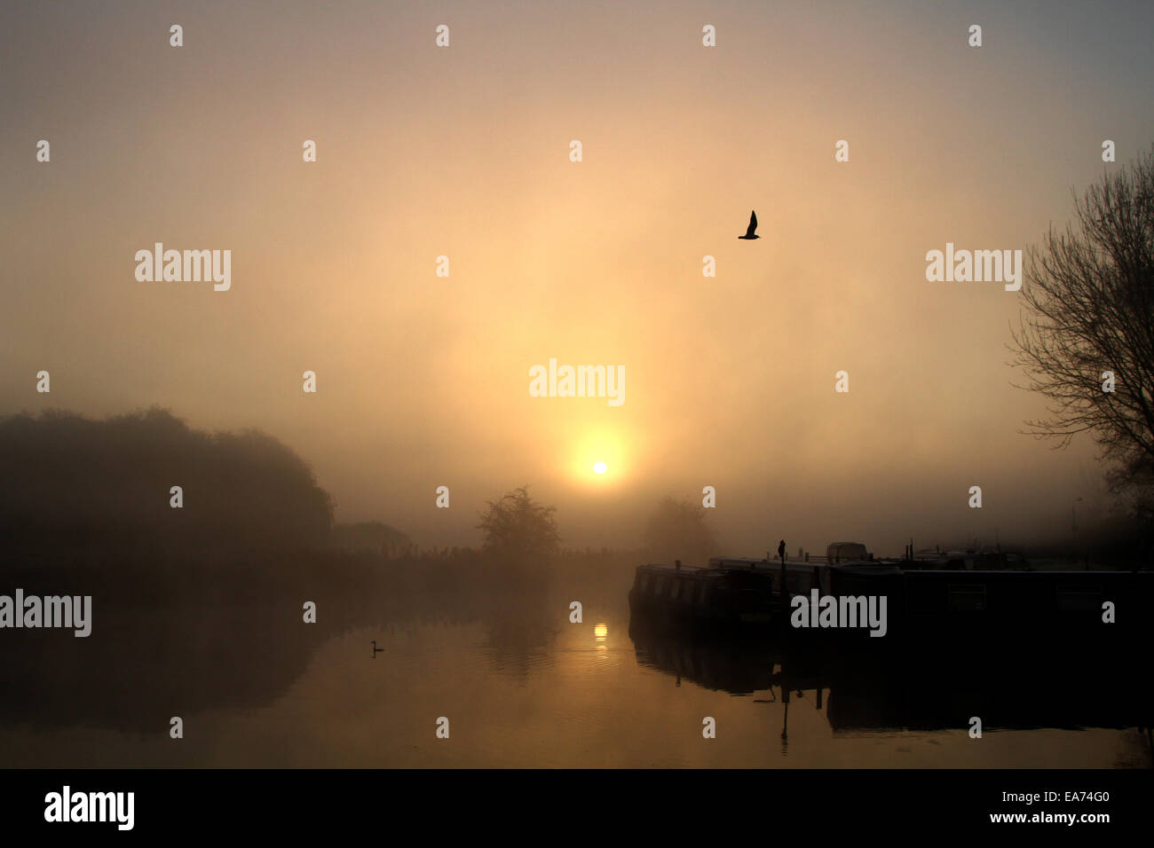 Peterborough, UK. 6th November, 2014. UK Weather. The sun tries to burn ...