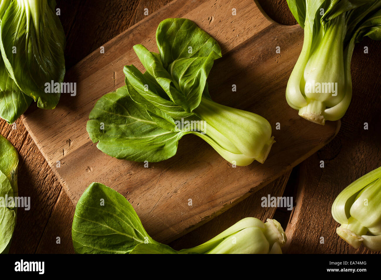 Bok choy plant hi-res stock photography and images - Alamy