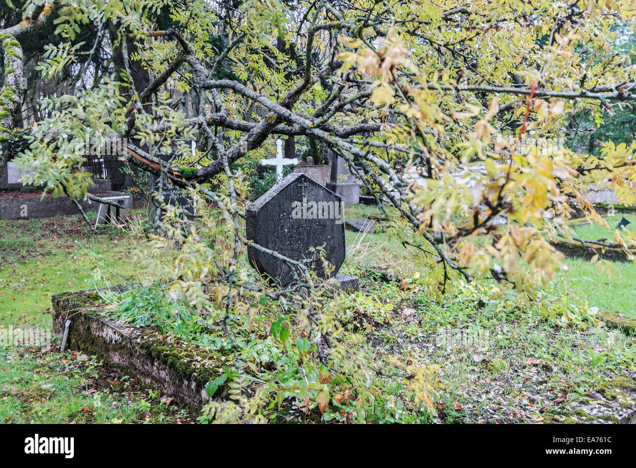 Holavallagarour Cemetery in Sudurgata, Reykjavik, Iceland, dates back ...