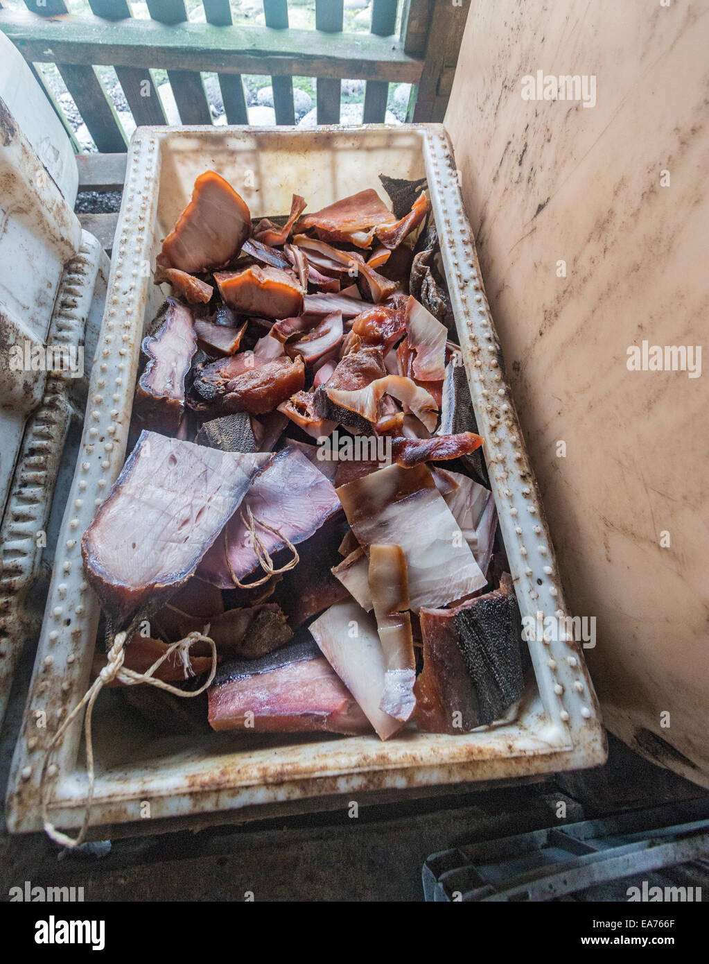 Rotten shark hi-res stock photography and images - Alamy