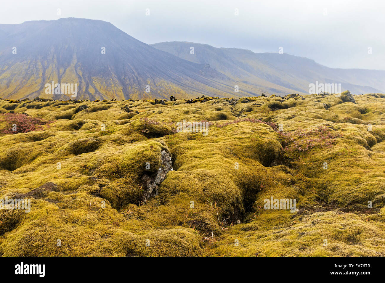 Reykjavik landscape hi-res stock photography and images - Alamy