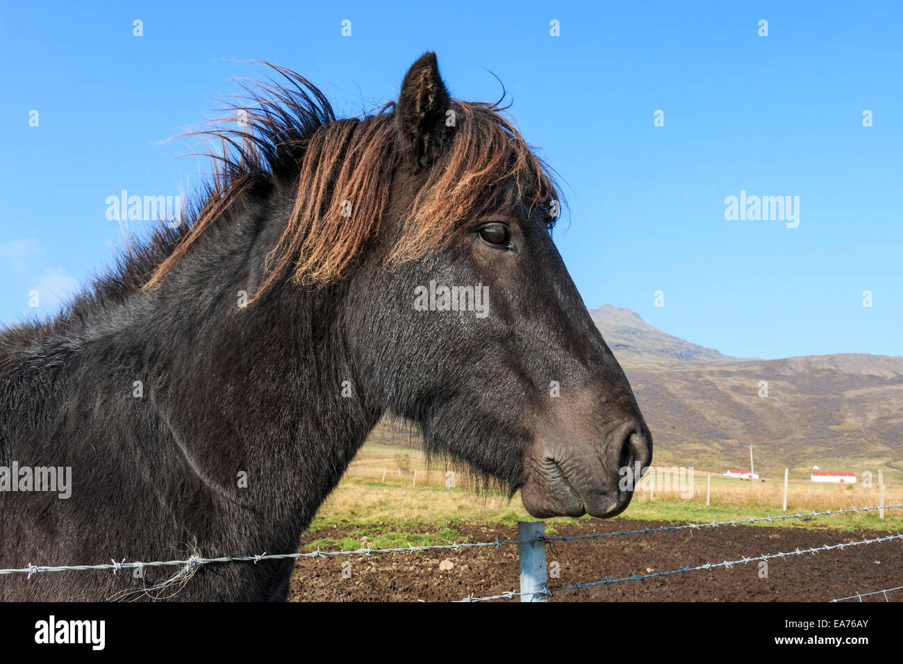 Icelandic activity hi-res stock photography and images - Alamy