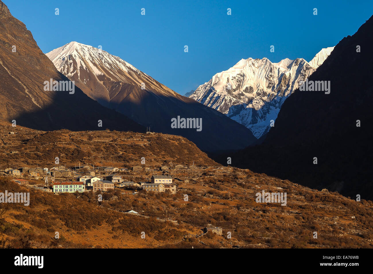 Tserko Ri (5,033m) Langtang National Park,Nepal Stock Photo - Alamy
