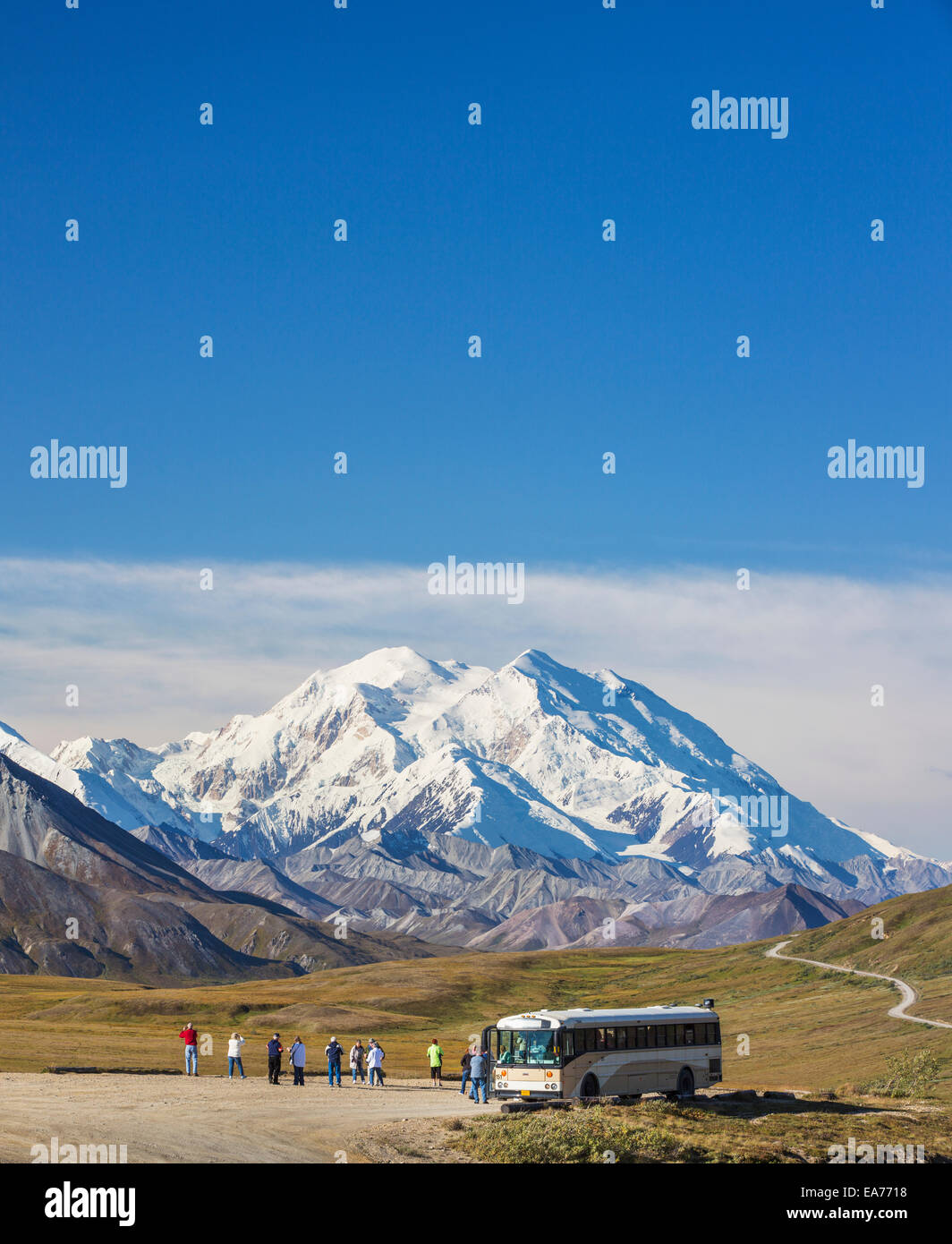 Tour Bus On Denali Park Stock Photos & Tour Bus On Denali Park Stock ...