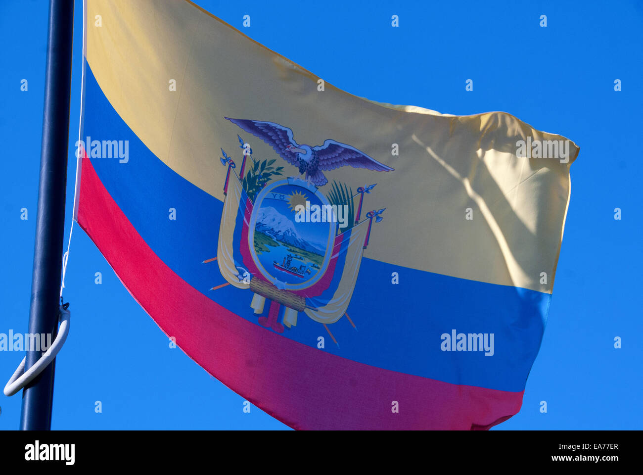 Ecuador flag hi-res stock photography and images - Alamy