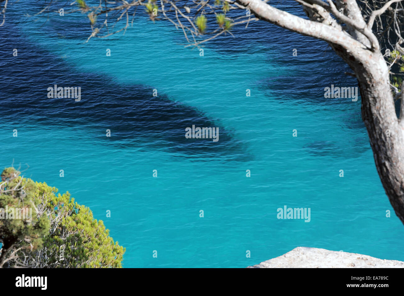 Macarella hi-res stock photography and images - Alamy