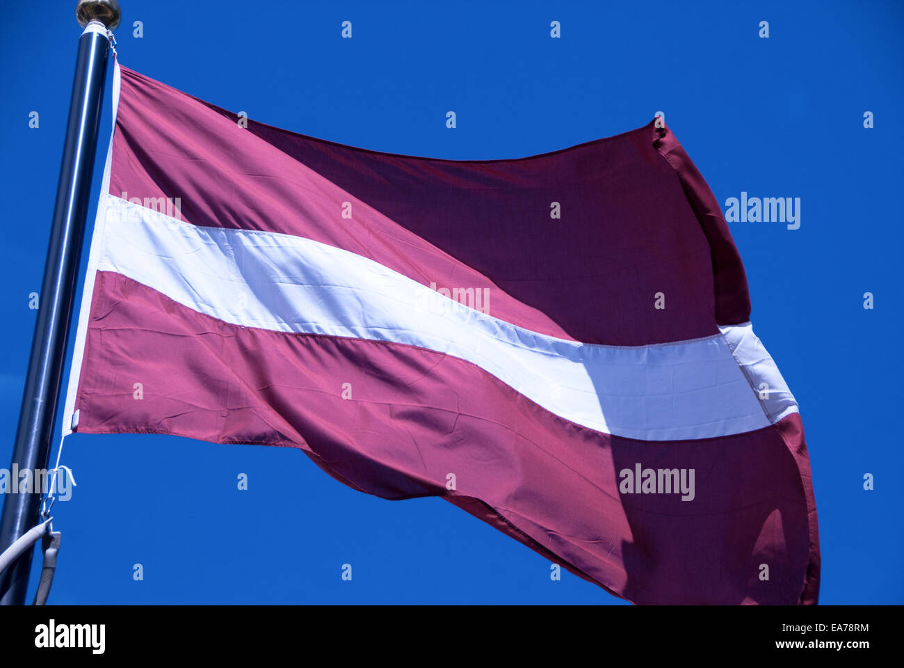 Latvia flag hi-res stock photography and images - Alamy