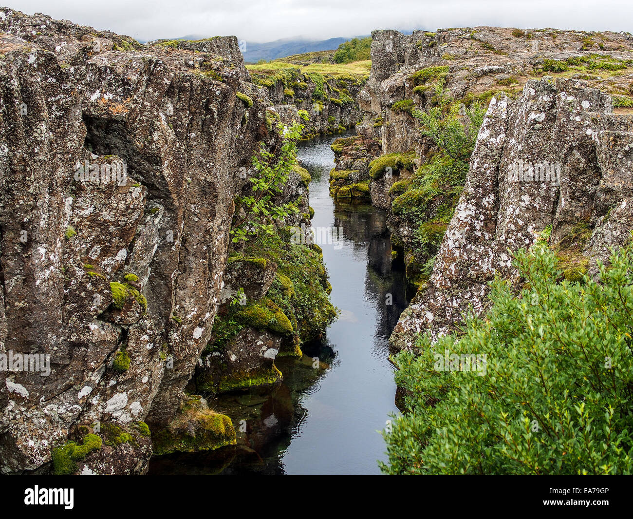 Thingvellir - tectonic and volcanic environment as a rift valley Stock ...
